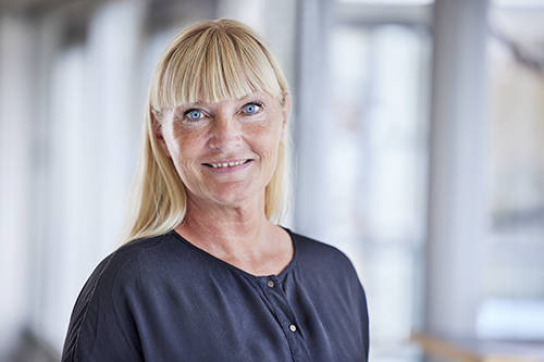 Meet the Team at Flux